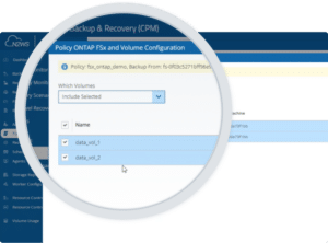 N2WS Backup & Recovery Product Feature Overview