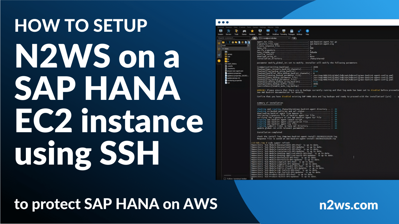How to configure N2WS for your SAP HANA EC2 instances - N2W Software