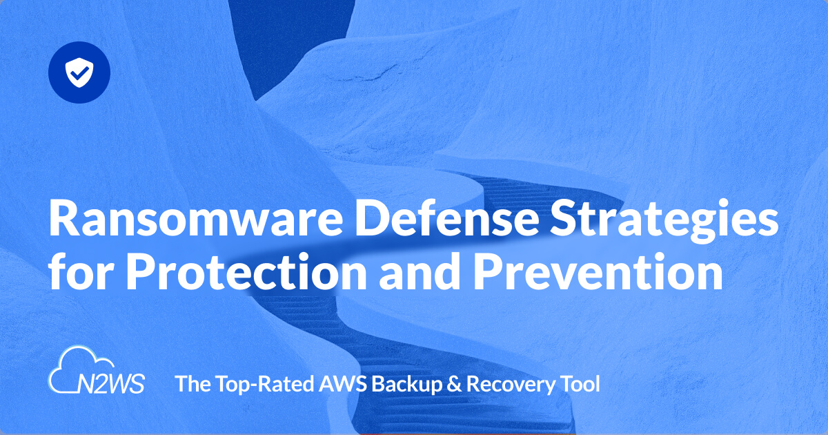 Ransomware Protection: 7 Defensive Measures - N2W Software
