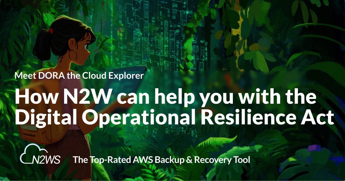 How N2W Can Help with DORA (Digital Operational Resilience Act) – Dora ...