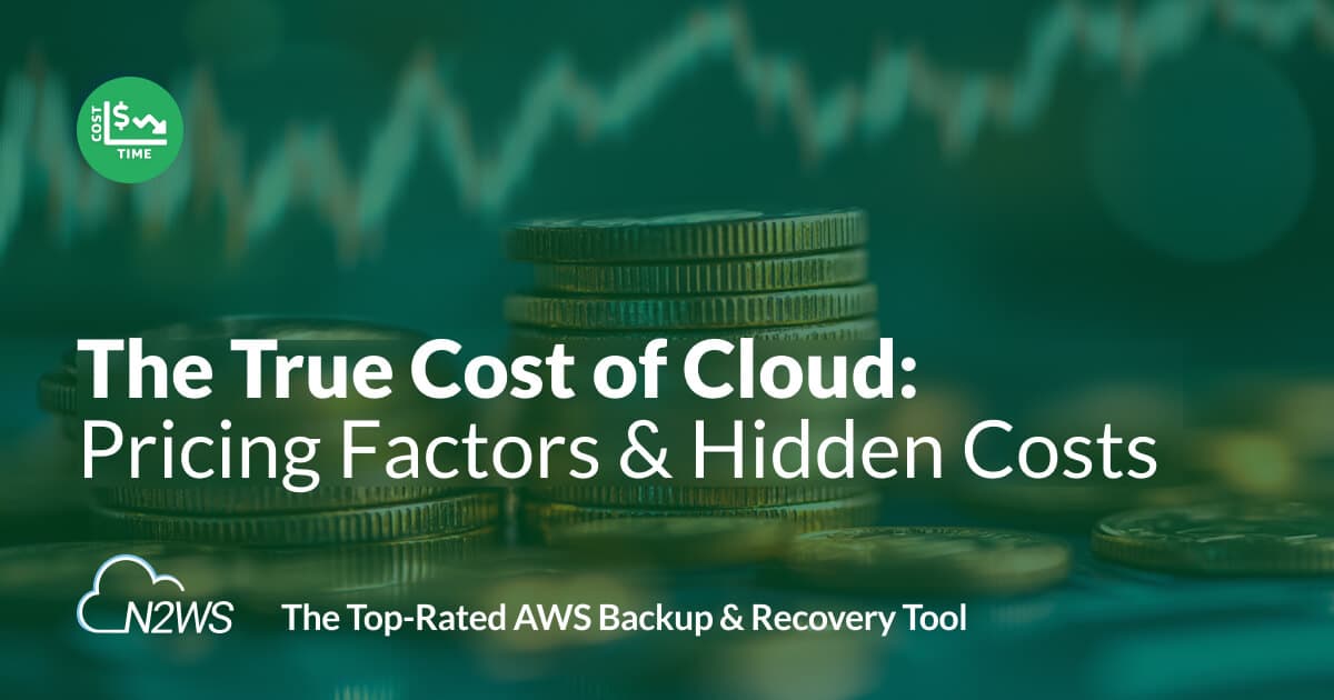 Cloud Costs: Price Factors, Hidden Costs & Pricing Models- N2W Software