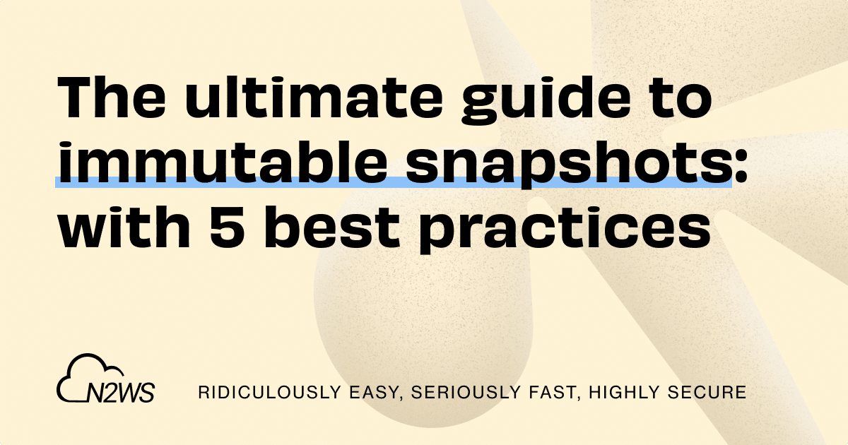 Immutable Snapshots: Use Cases, Expert Tips, & Challenges - N2W Software