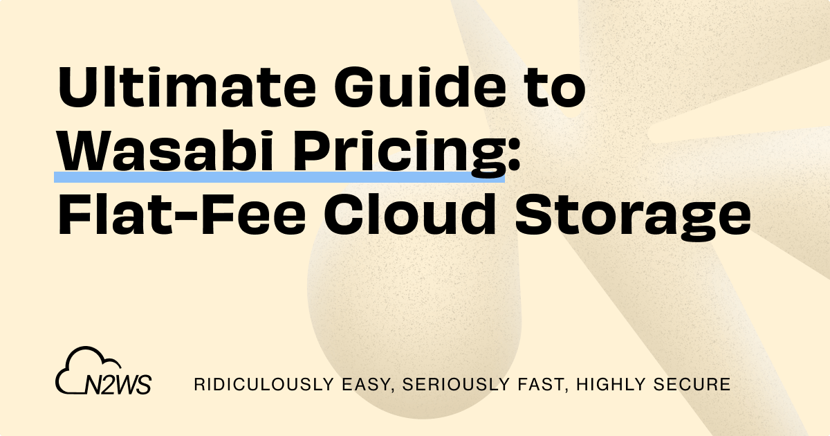 Understanding Wasabi Pricing: Flat-Fee Cloud Storage - N2W Software